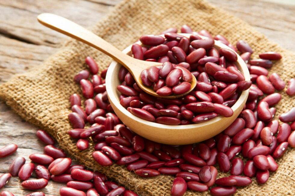 All you need to know about Rajma - Healthy Dig